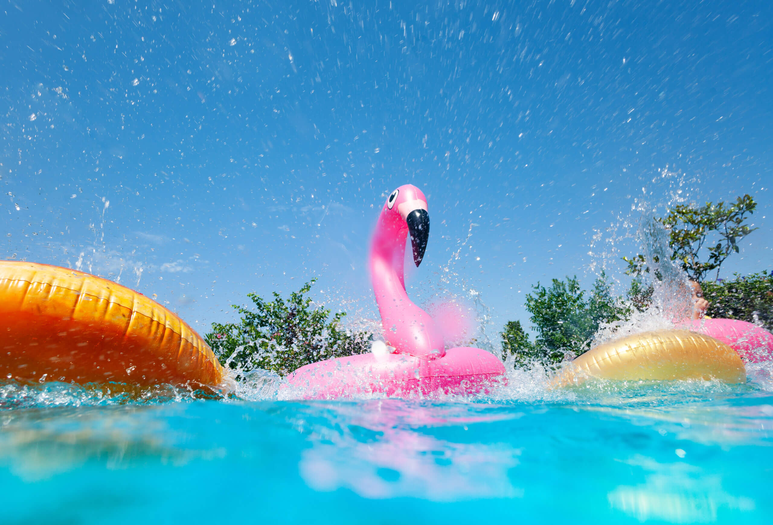 How to Throw an Unforgettable Pool Party to Show Off Your Backyard ...